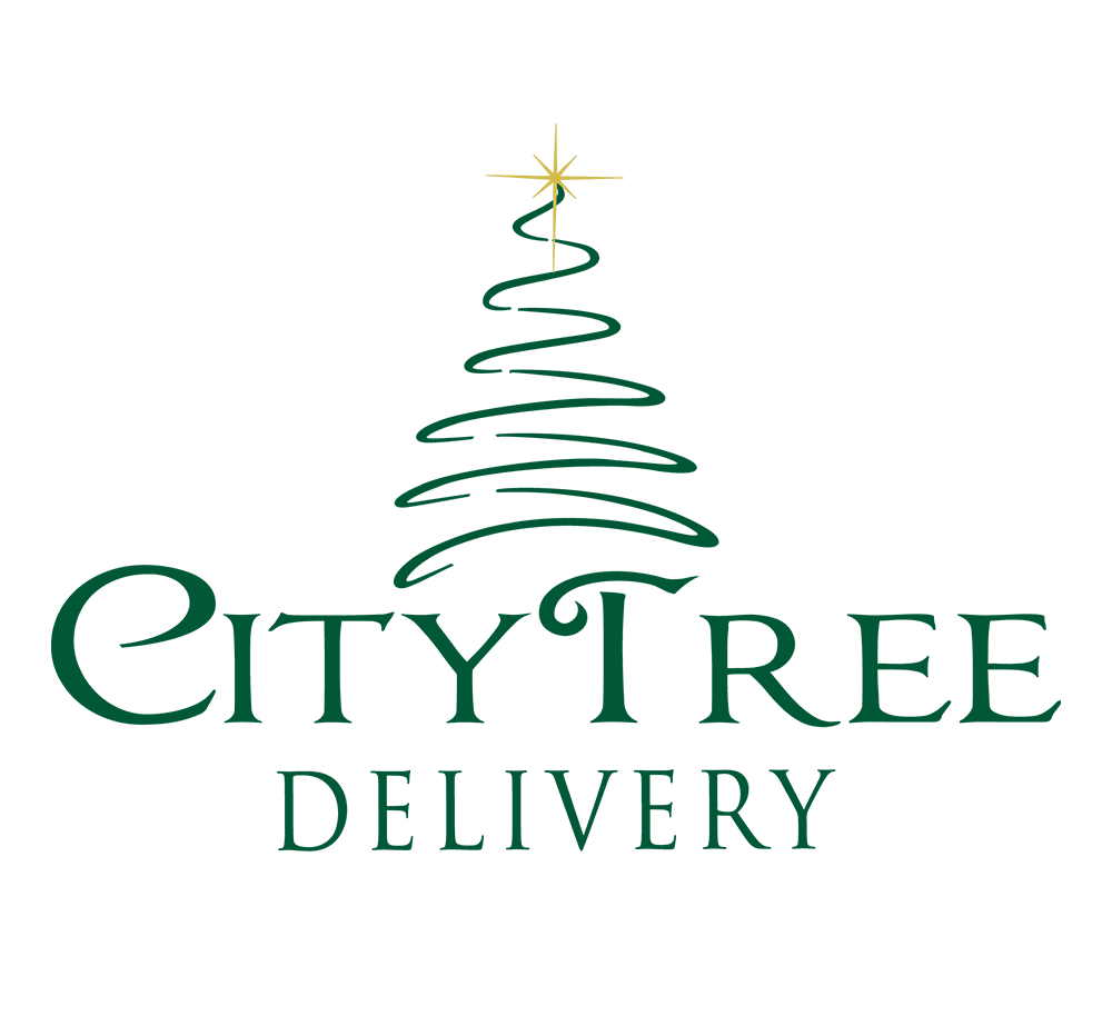 Tree Types and Size Guide – City Tree Delivery