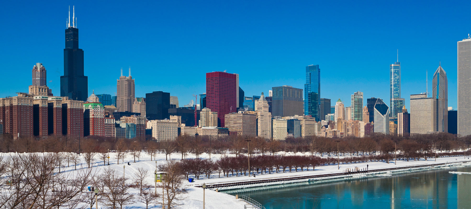 Chicagoland Fraser & Balsam Fir Holiday Tree Delivery – City Trees