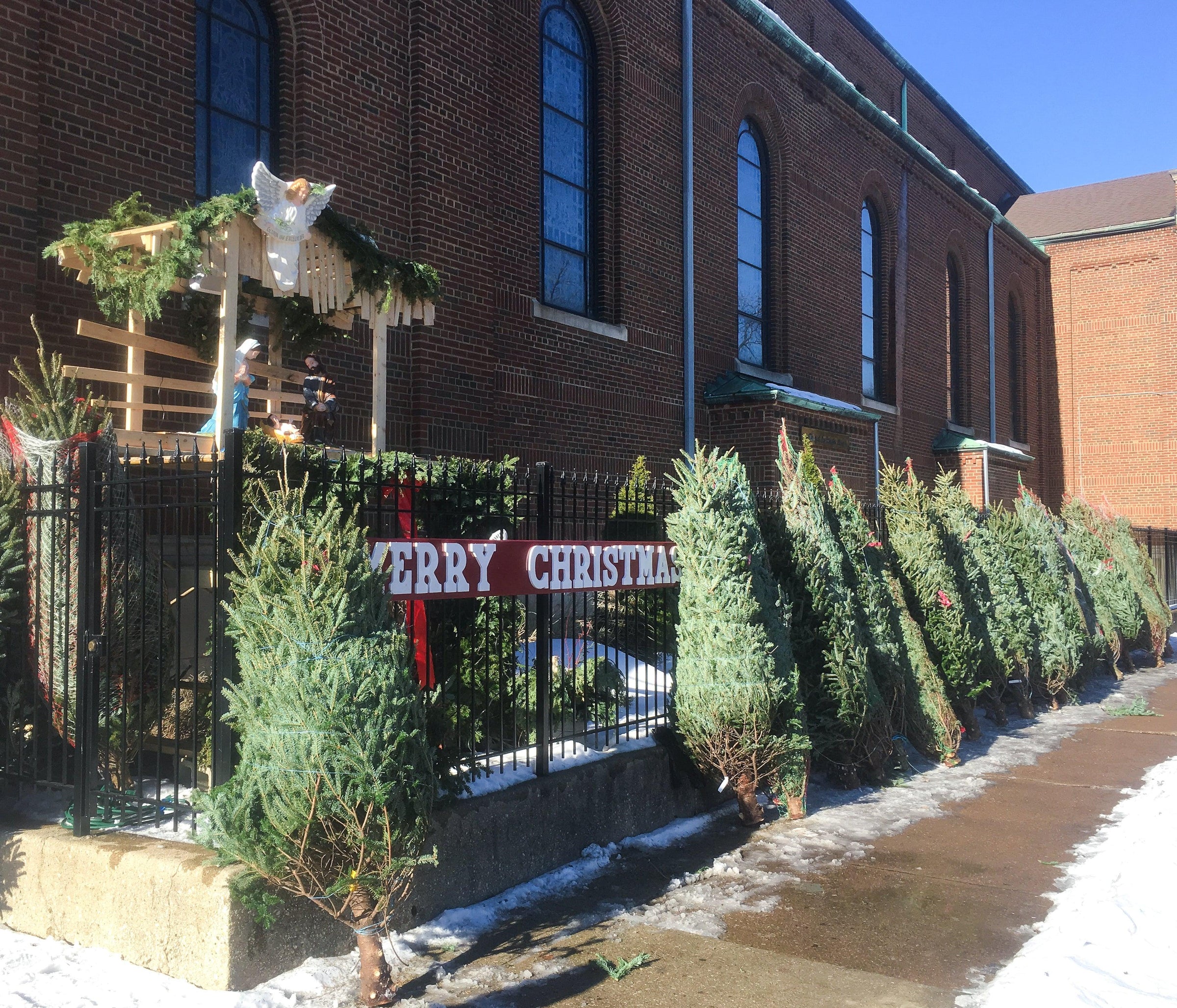 Karma Tree Fund | City Trees