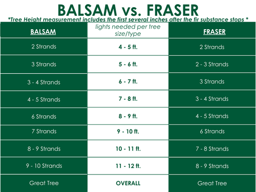 Tree Types and Size Guide – City Tree Delivery
