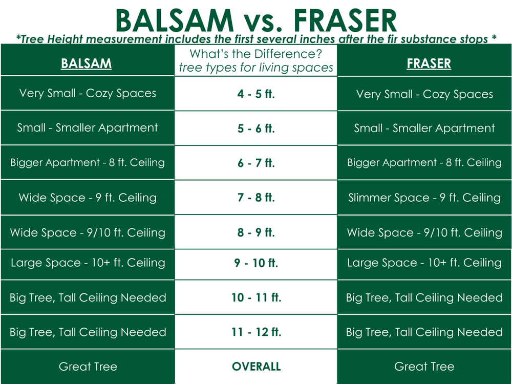 Tree Types and Size Guide – City Tree Delivery