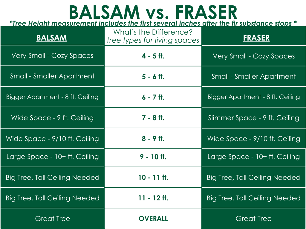 Tree Types and Size Guide – City Tree Delivery