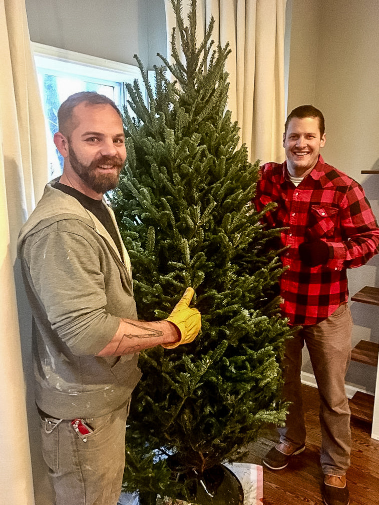 Tree Stands and Setup | City Trees