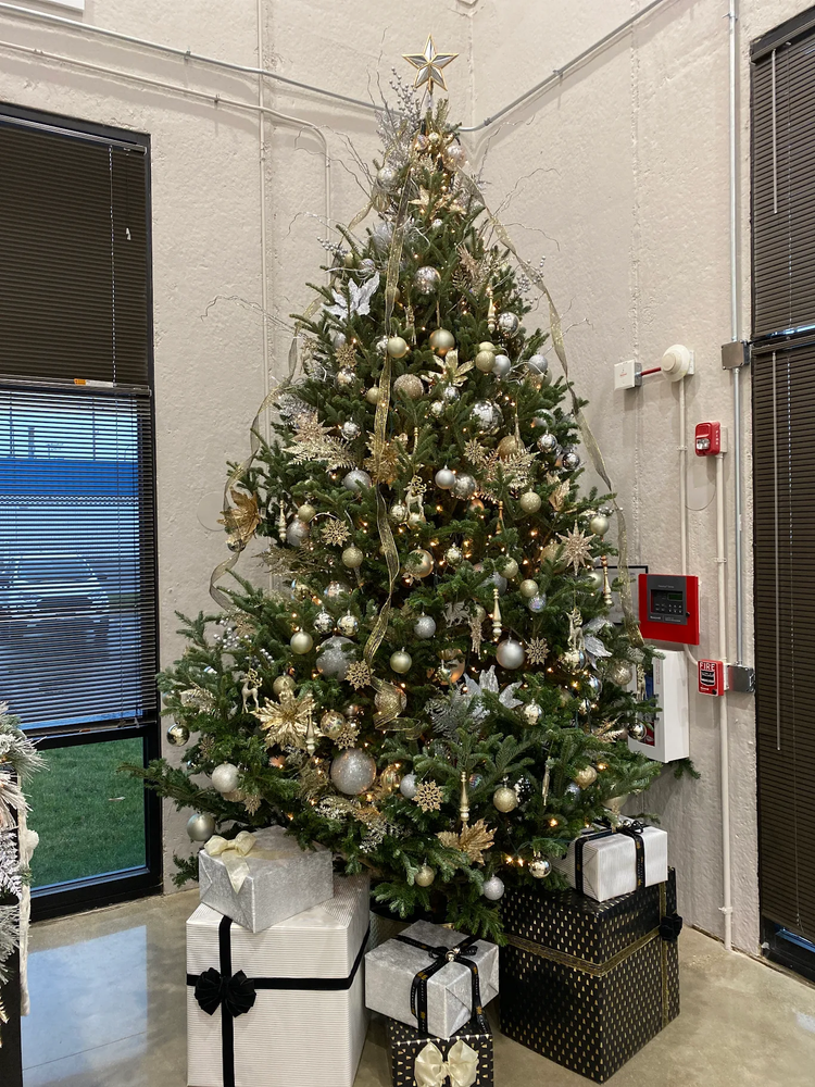 Premium Christmas Tree Delivery, Setup & Recycling |City Tree Delivery